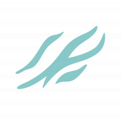 Transage symbols - Paraphilia+ Flags Wiki