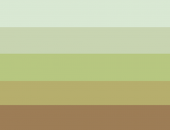 Other zoophile flags - Paraphilia+ Flags Wiki